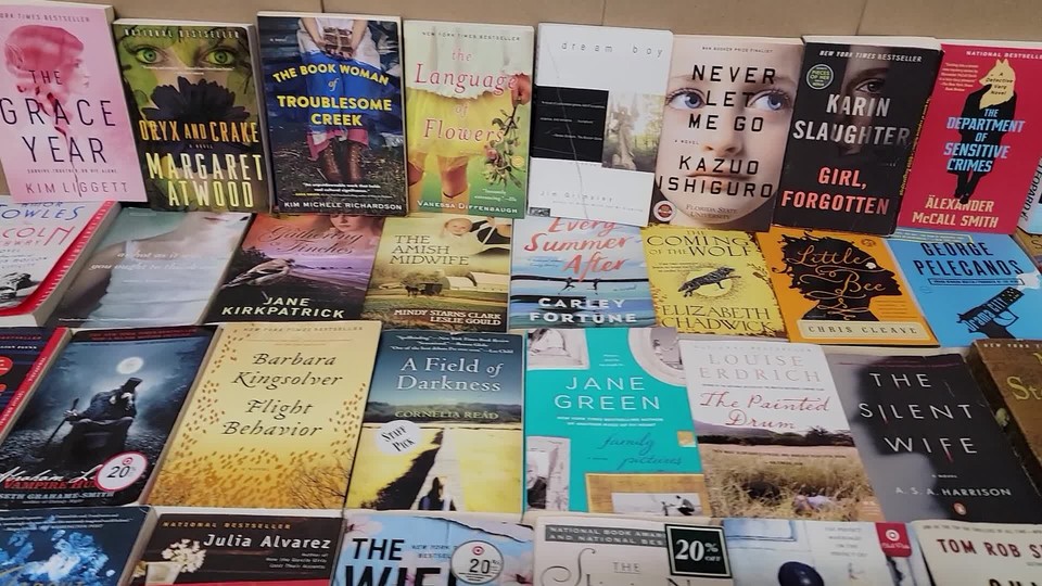 Lot of 100 Large Trade Literature Fiction Paperback BestSeller UNSORTED ...