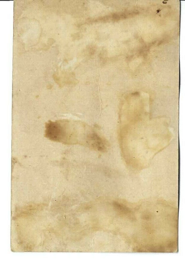 AI-178 Niagara Corn Starch, Superior to All Girl with Leaf Victorian ...