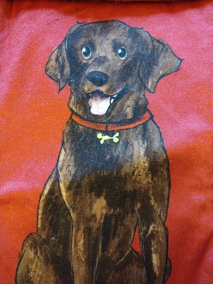 NEW Chocolate Brown Lab Labrador Retriever Chrismas Stocking 20in ...