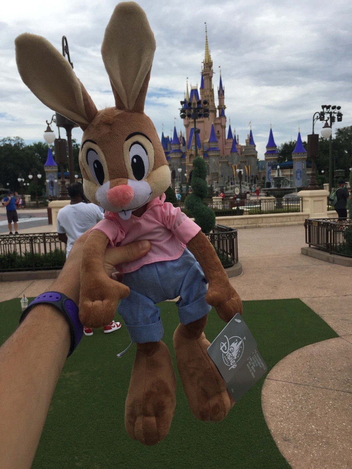 Disney Parks BRER RABBIT Plush Splash Mountain, New With Tag. | eBay