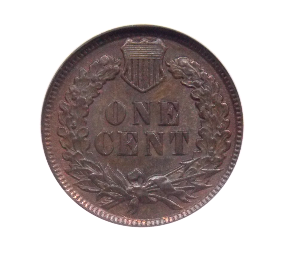 1889 Indian Head Cent Penny 1c NGC MS64 BN #003 Uncirculated BU Unc ECC ...
