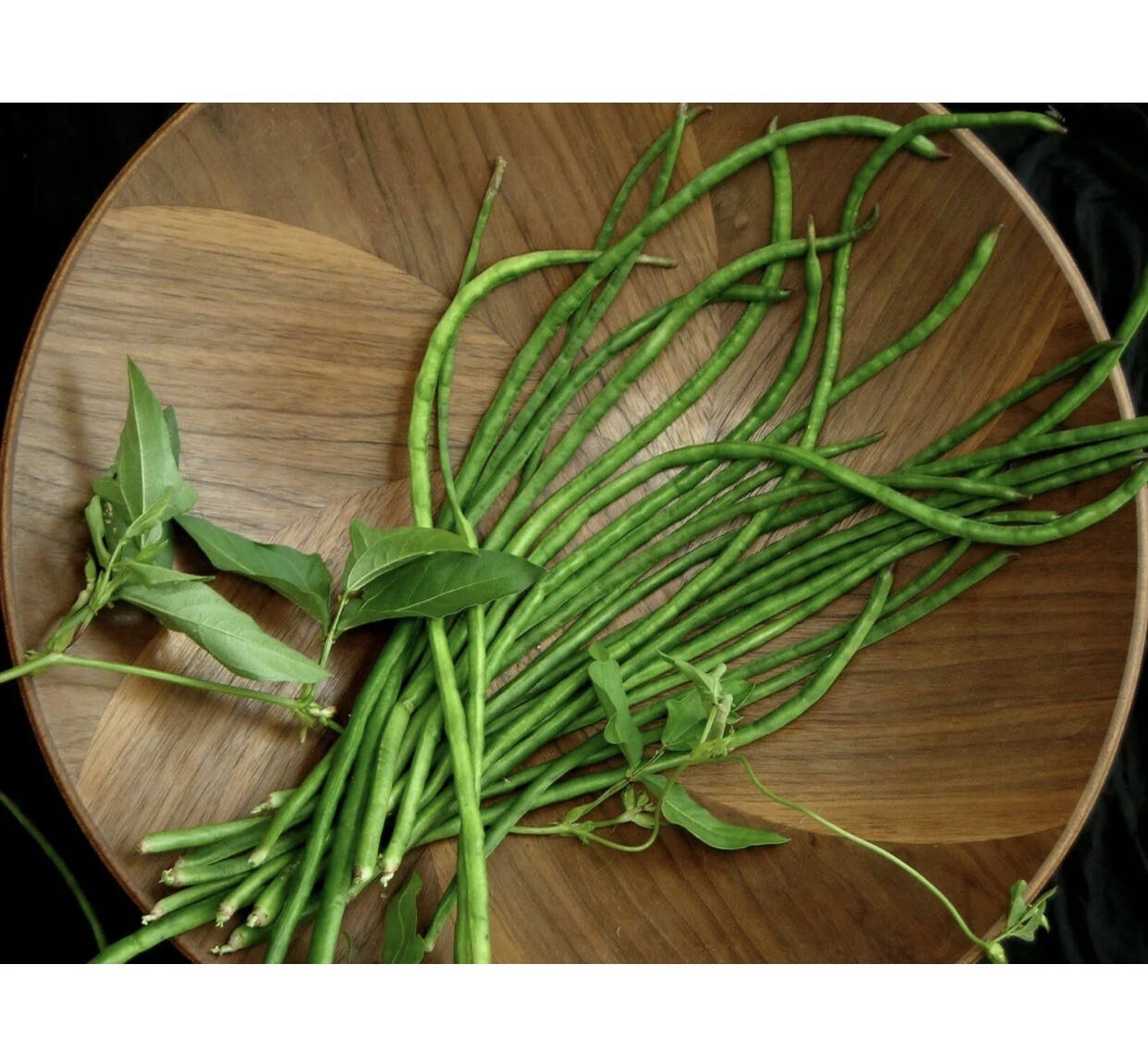 10 X Long Snake Bean Seeds Yardlong Bean Borboti Chinese Long Bean ...