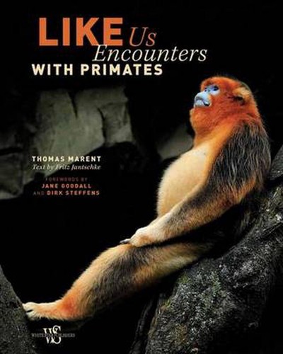 Like Us : Encounters with Primates by Thomas Marent (2014, Hardcover ...