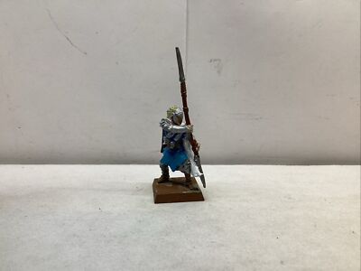 Warhammer Fantasy WOOD ELF ETERNAL GUARD model built & painted metal ...