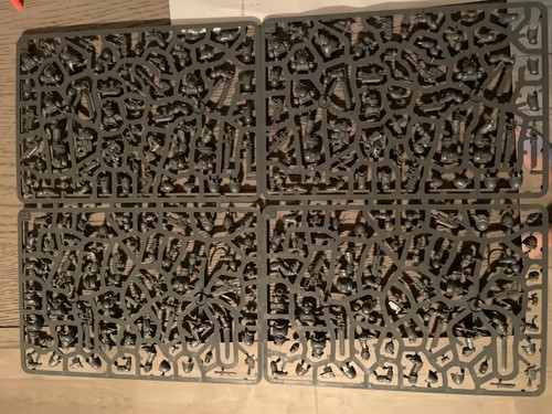 Grey Hunters (2025) - Space Wolves - Warhammer 40K - NEW ON SPRUE | eBay