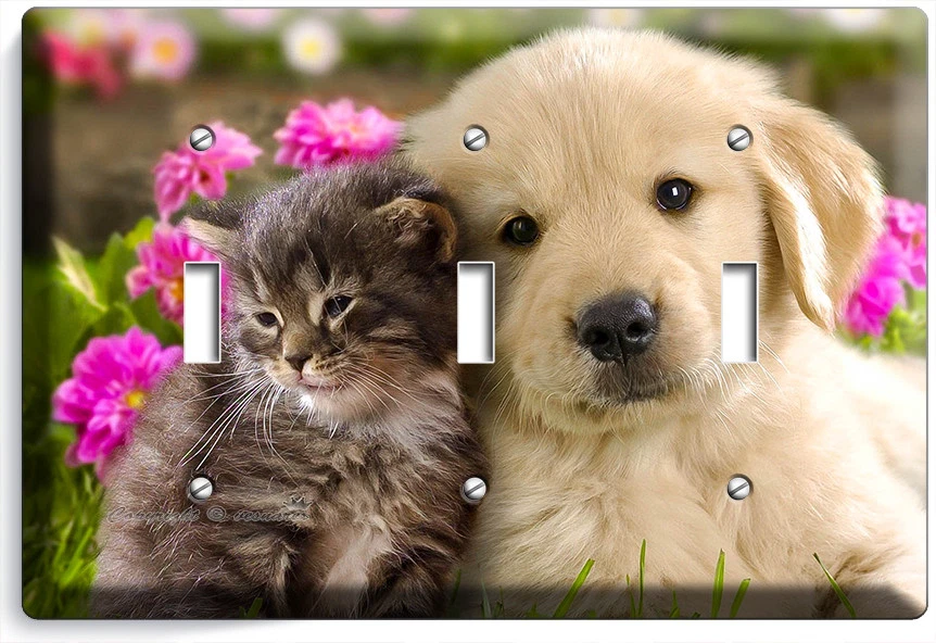 Cute Kitty And Puppy