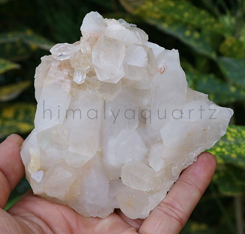 Pointu Naturel Lite Rose avec Blanc Himalaya Cristal Quartz 380 Gram ...