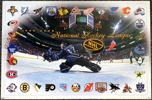 NHL HOCKEY TEAM LOGOS All 30 Teams Vintage 1999 Original 23x35 POSTER ...
