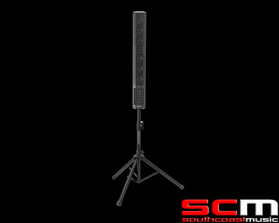 Fishman SA330X Performance System PA Voice Amplifier Active Speaker ...