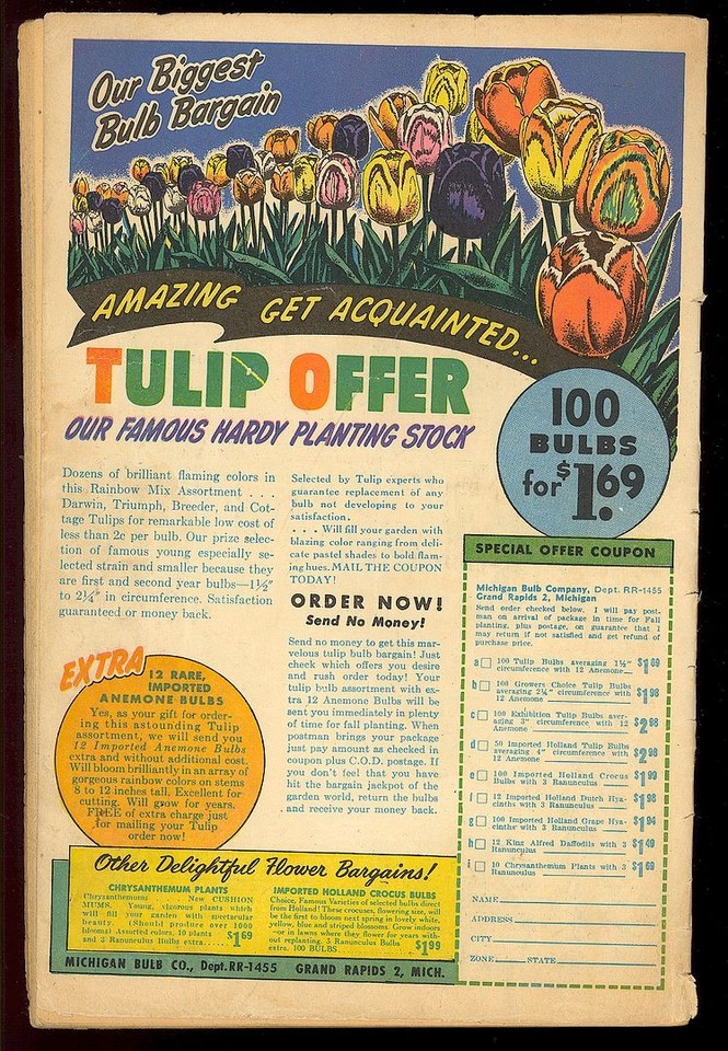 Jumbo Comics #140 Golden Age Jungle Sheena Fiction House Comic 1950 GD-VG | eBay