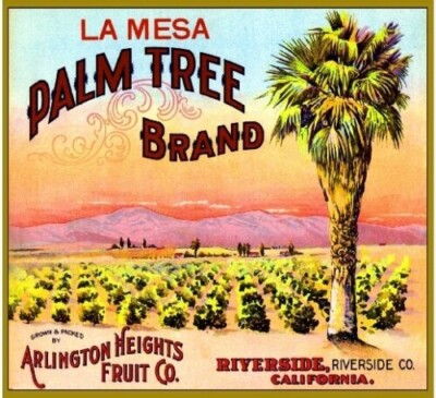 La Mesa Palm Tree Brand Oranges Riverside Citrus Fruit Crate Label Art ...