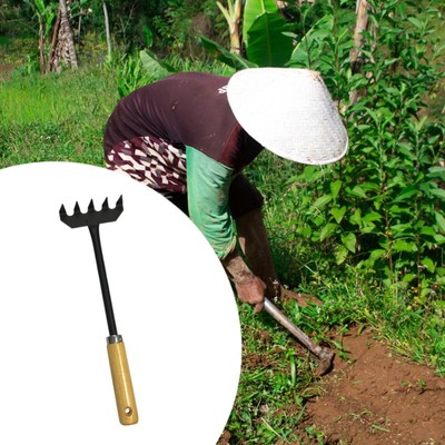 Gardening Rake 5 Hand Rake for Lawn Transplanting Indoor Potted Plants ...