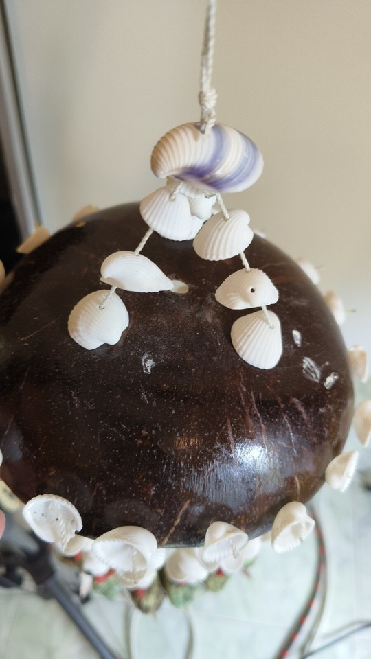 Beautiful Seashells Coconut Shell Hanging Spiral Dangling Windchimes ...