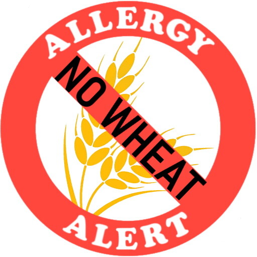 Allergy Alerts Anaphylaxis ALLERGIC Allergen ALERT BADGE ALLERGY BADGE ...