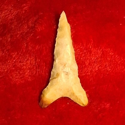 Dalton-Classic Projectile Point Native American Arrowhead NE Arkansas ...