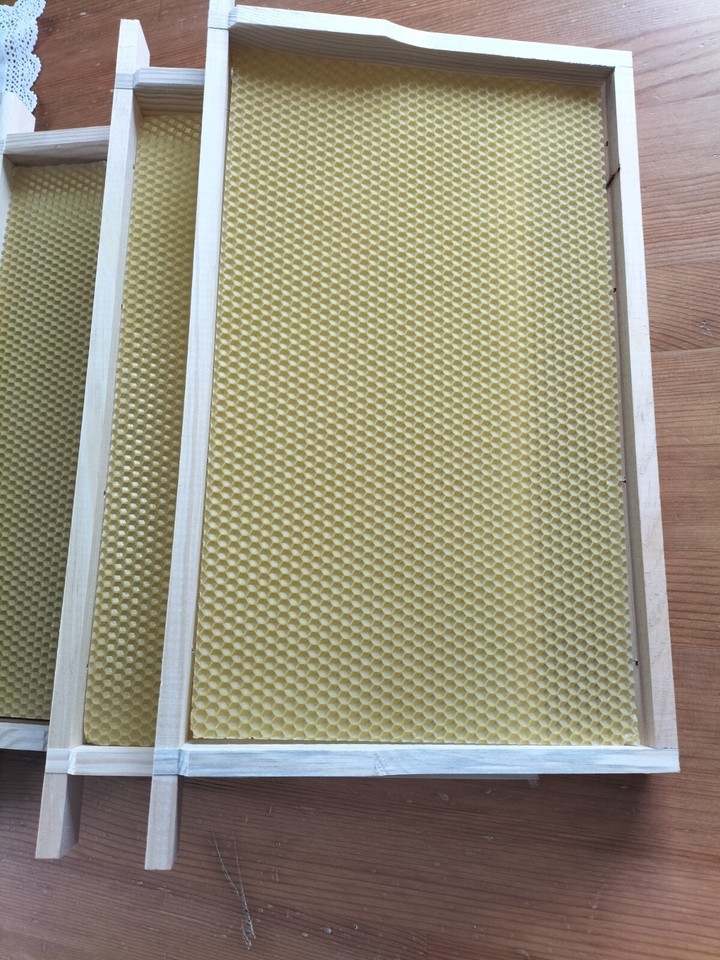 10 pcs Assembled BS National Brood Bee Hive Frames with Foundation ...