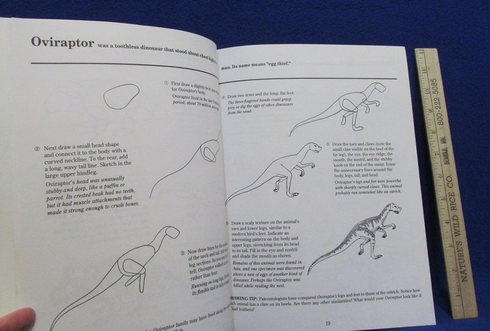 Vintage Drawing Books Lot of 3 Drawing Cats Dogs Aliens Fantasy ...