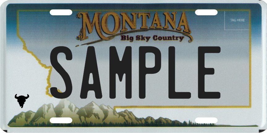 Custom Personalized Vanity Metal License Plate - Your Name Your State ...