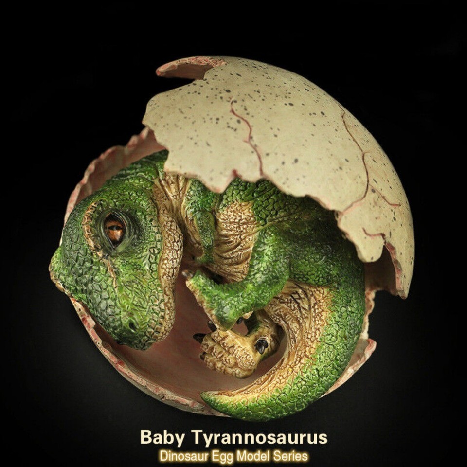 EDAGE Tyrannosaurus Baby Dinosaur Egg T-rex Dinosaur Model Collection ...