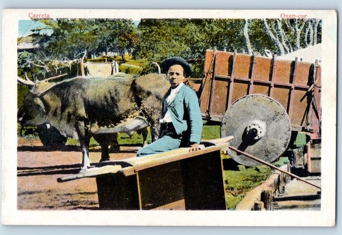 Costa Rica Postcard Oxen-Car Cart and Man in Photo c1910 Antique ...
