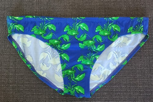 KAMALI KULTURE ERIC HIPSTER BIKINI SWIM SIZE S BLUE LOBSTER PRINT GREEN ...