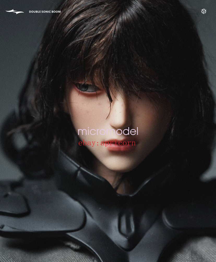 Double Sonic Boom 1/6 Female Action Figure Model Collectible Limited ...