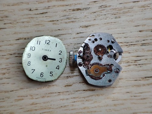 Timex - Watch movement - 18,5mm - for parts and spares | eBay