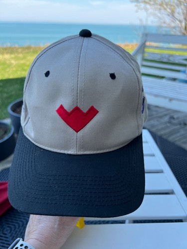 Devils Tower Pioneer Williams Dominion Rig Tan Hat Cap Snapback | eBay