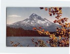 Postcard Mount Hood Oregon USA | eBay