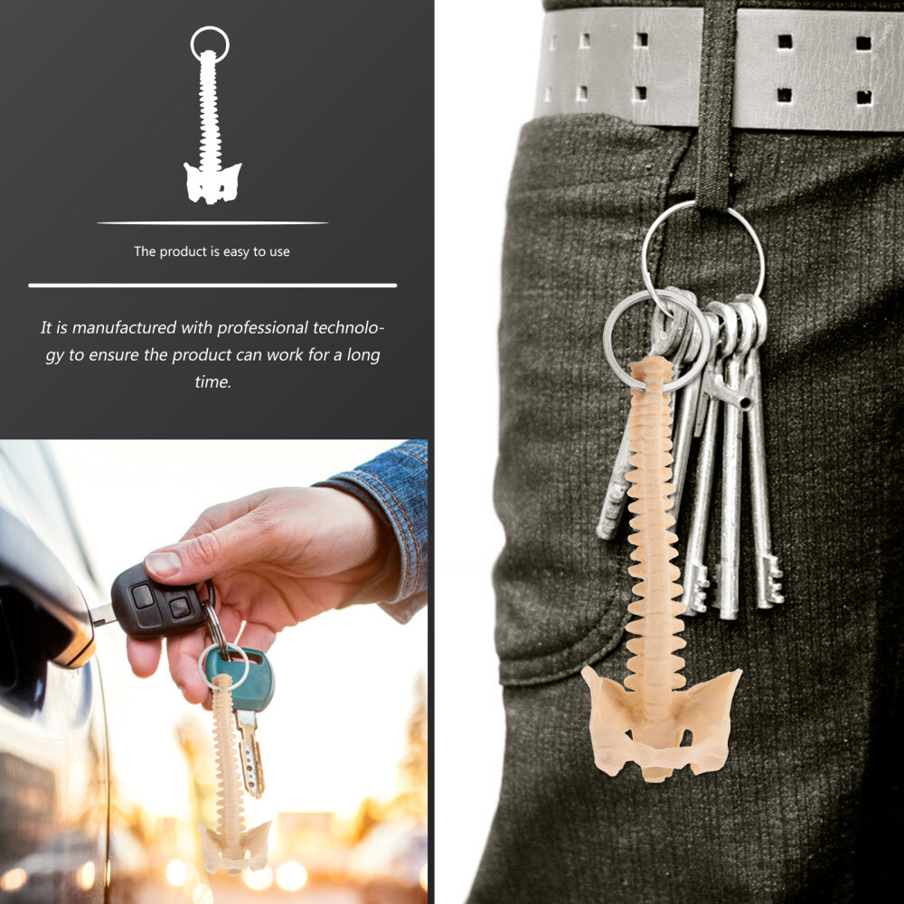 biology keyring Human Body Model Kids spine key ring Human spine key ...