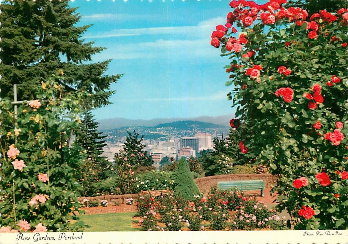 Portland Rose Garden Sign The Rose Garden At Peninsula Park Is Popping