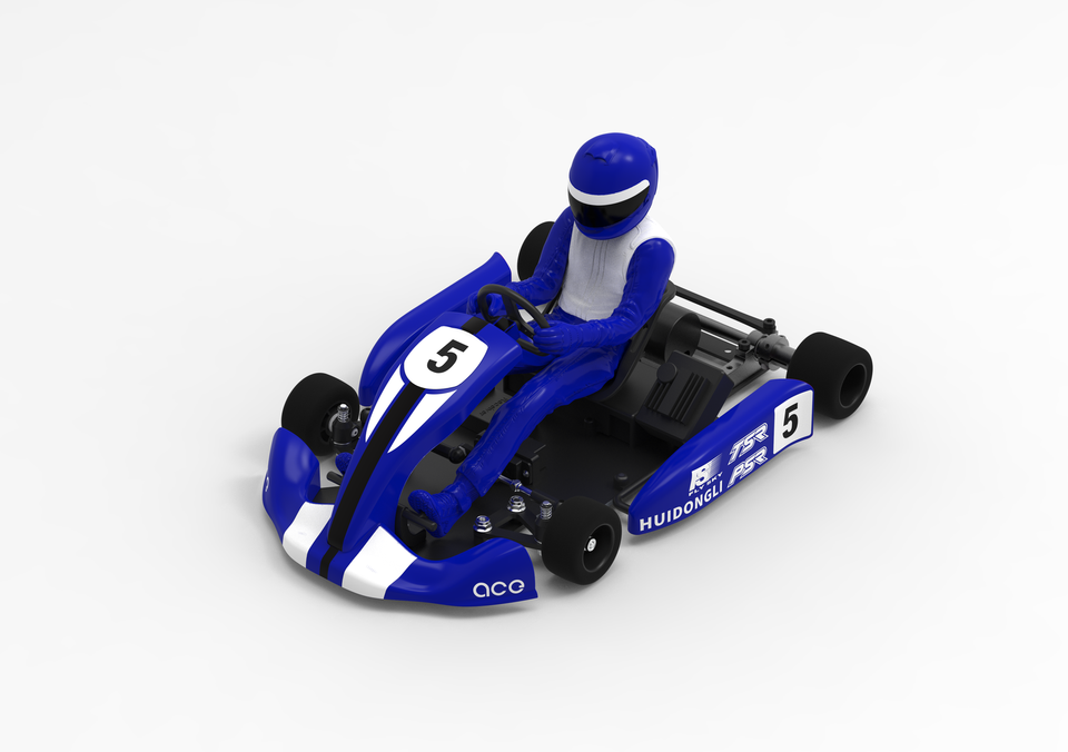 Team Saxo GK-200-PRO 1/8 RC Go Kart KIT ARTR Blue Brushless Radio ...