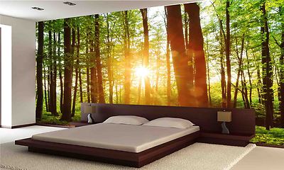Forest In Autumn Wall Mural Photo Wallpaper GIANT DECOR Paper Poster ...