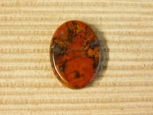 Coprolite from Utah/Montana Polished Cabochon | eBay
