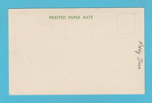 ACTRESS (AUSTRIAN) - ANONYMOUS POSTCARD - POLDI DUR - ???? | eBay