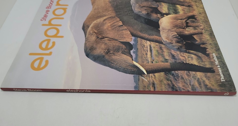 Elephants by Steve Bloom | eBay