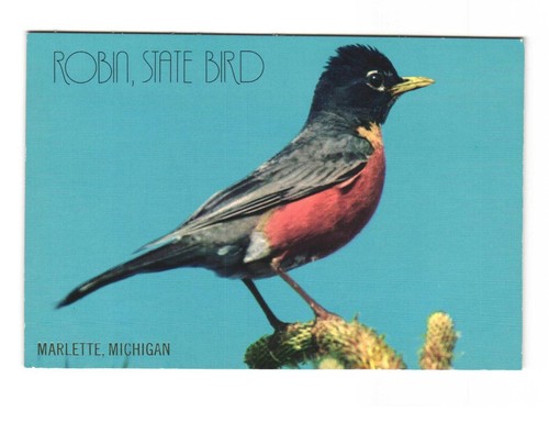Marlette, Michigan, Robin State Bird Postcard Unposted 4x6 | eBay