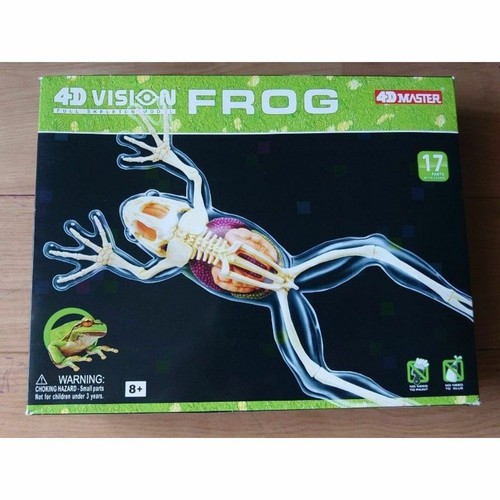 4D VISION Animal Anatomy Model No.13 Frog Anatomy Skeleton Model | eBay
