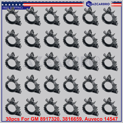 30x For GM 8917320 3816659 19130464 387496S, Auveco 14547 Wire Loom ...