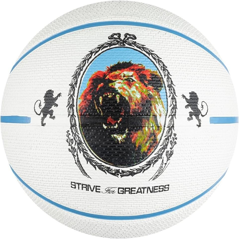 Nike Ball Basketball Playground 8P 2.0 LB Lebron James Größe 7 Strive ...