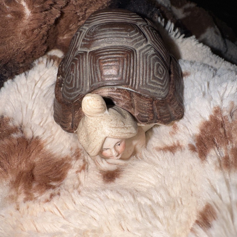 Vtg Naughty Teddy Bear Bathing Beauty Turtle Girl Germany Antique ...