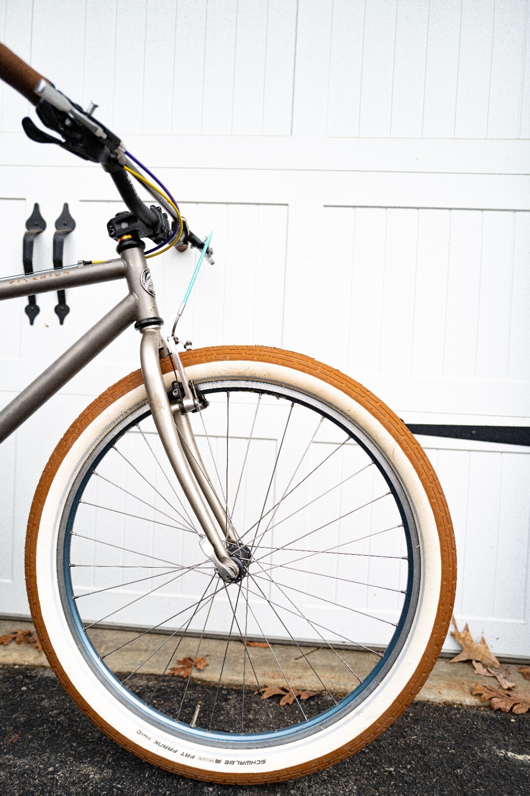 Mongoose Titanium DX 10.7 16.5" Cruiser MTB 1x11 26" Gravel USA Ti ...