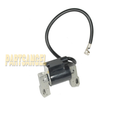 Ignition Coil For Briggs & Stratton 100202 130201 130202 133202 133212 ...