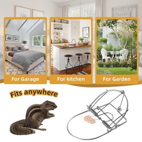 2 Pack of Small Live Animal Hunting Trap,Outdoor Hunting Tools Humane ...