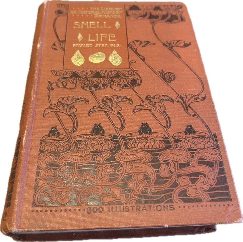 1901 Shell 🐚 Life by Edward Step Antique British Mollusca Book Vintage ...