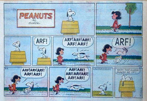 Peanuts by Charles Schulz - large half-page Sunday color comic - June 2 ...