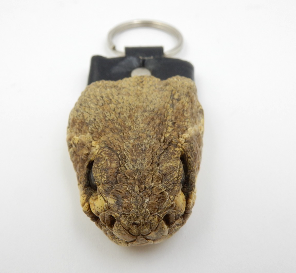 VINTAGE RATTLESNAKE HEAD KEYCHAIN REAL TAXIDERMY CAR KEY RING CHAIN | eBay