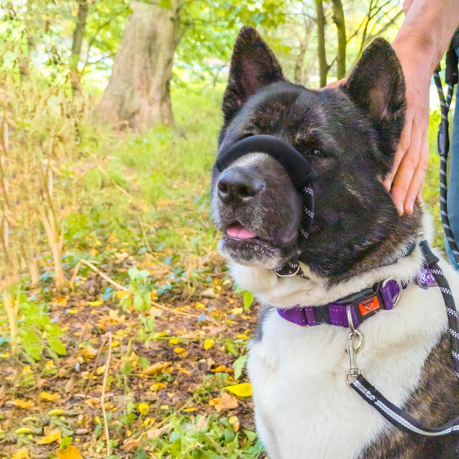 Figure of 8 Dog Lead With Padded Nose Loop-Anti Pull Dog Lead Stop Dog ...