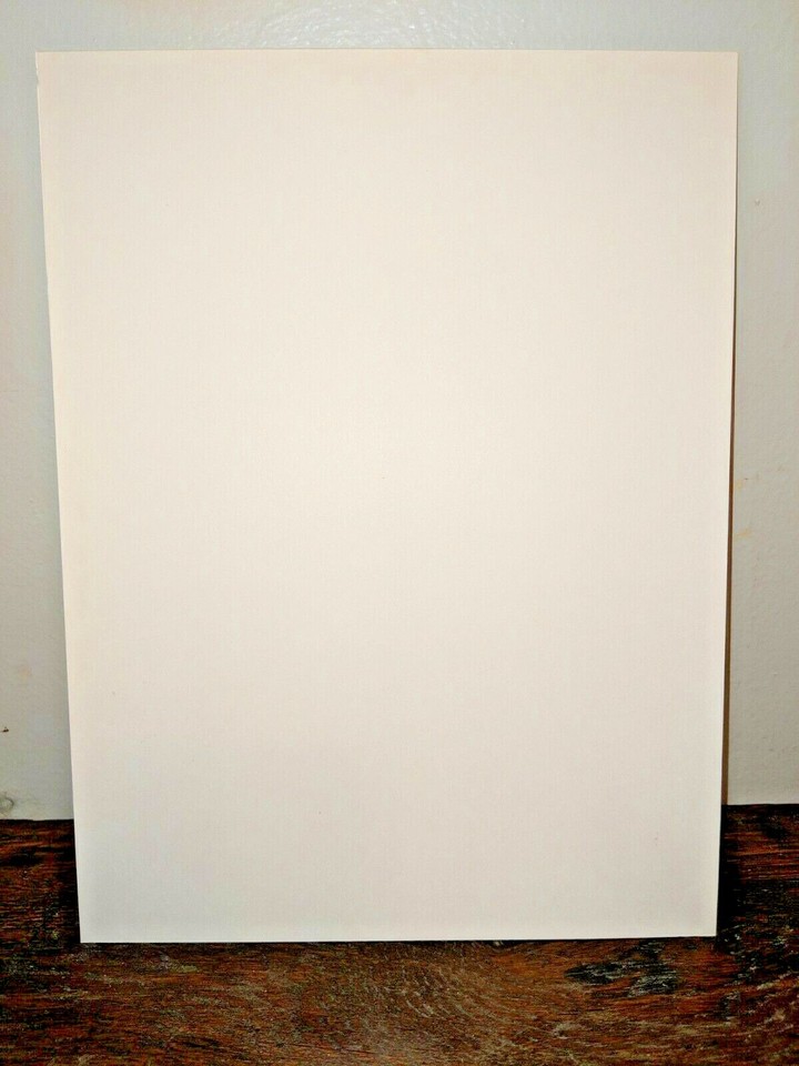 1880 Henry J Johnson Polar Bears Plate XXII Carnivora Art Print Matted ...