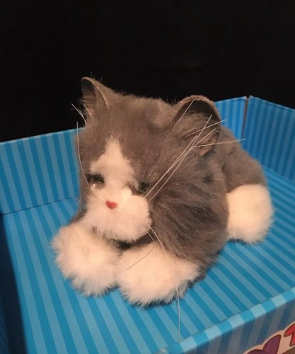 FurReal Friends Grey Kitten Cat Meow Hasbro Tiger Electronics | eBay